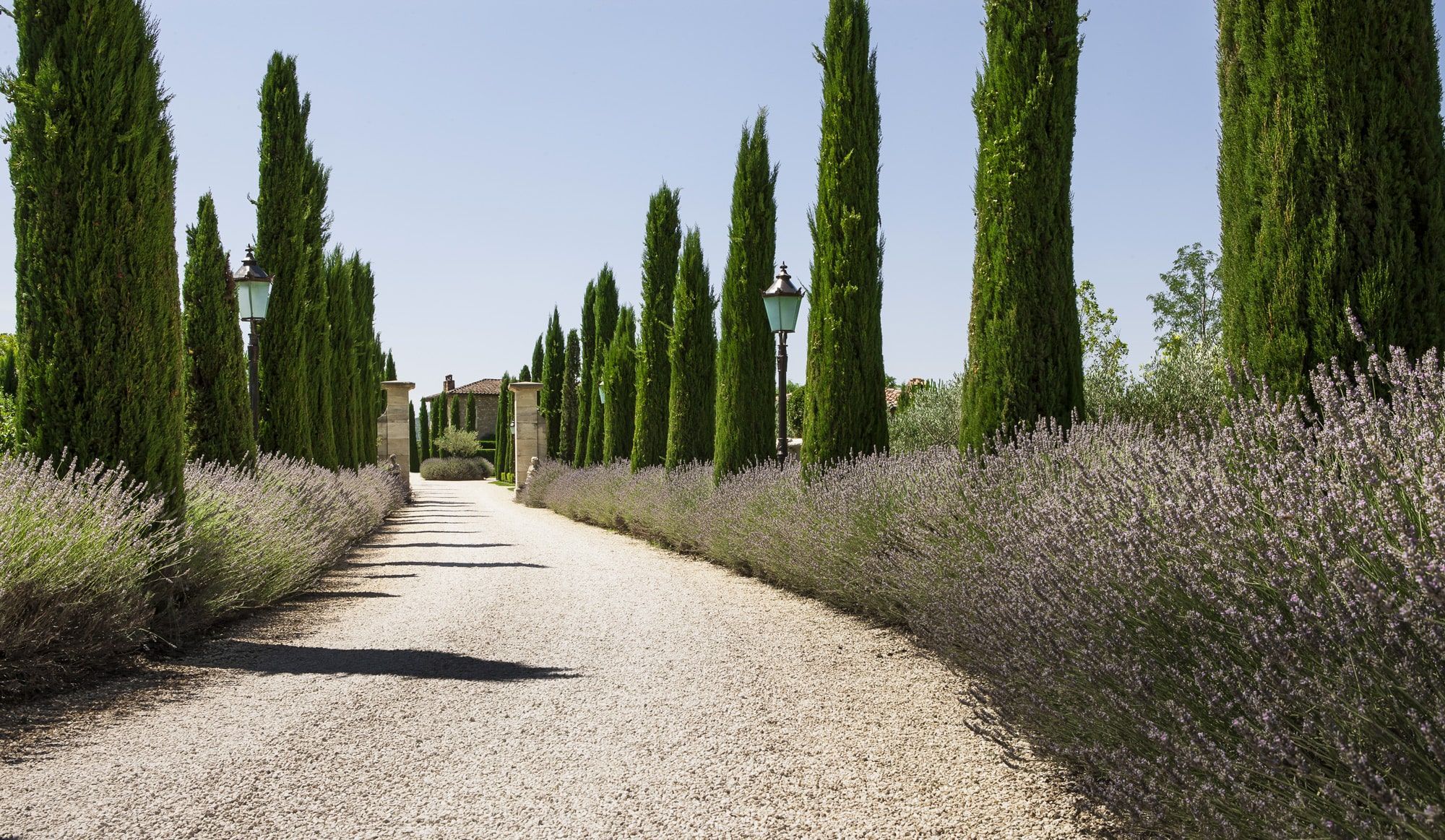 Landscape Design Specialists - PN Homes